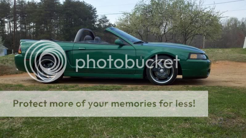 A few more drop top pictures | Modded Mustang Forums