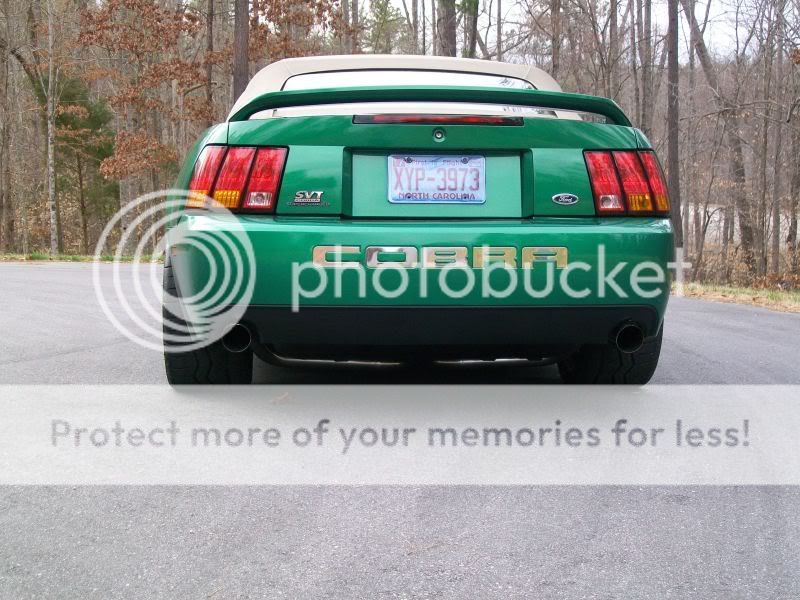 True Forged Wheels | Modded Mustang Forums