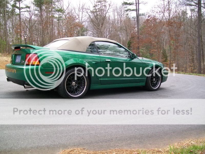 True Forged Wheels | Modded Mustang Forums