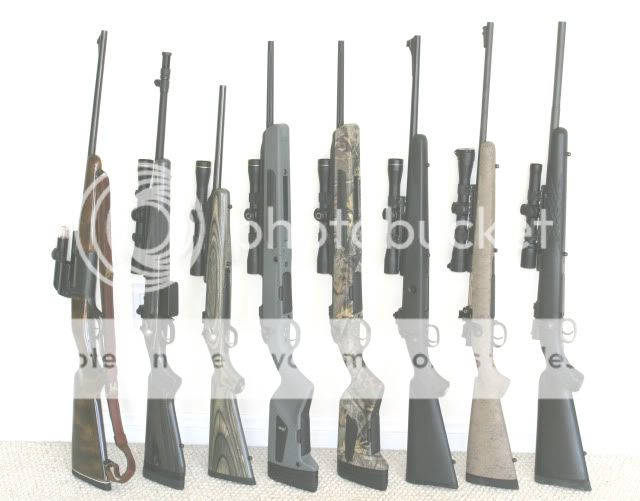 Lever scout- Rossi RioGrande or Mossberg 464?