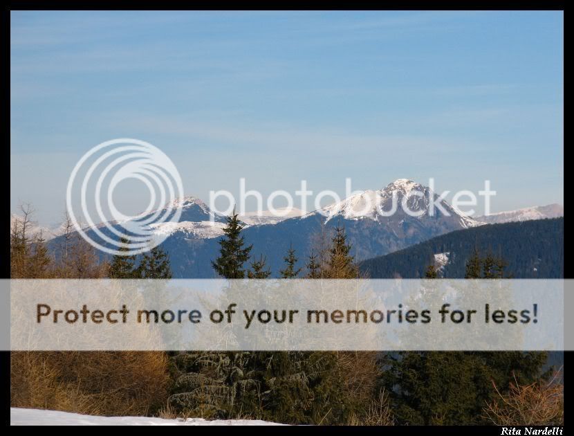 Escursione al Dosso di Costalta (Altopiano di Pinè)