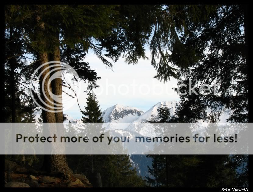 Escursione al Dosso di Costalta (Altopiano di Pinè)