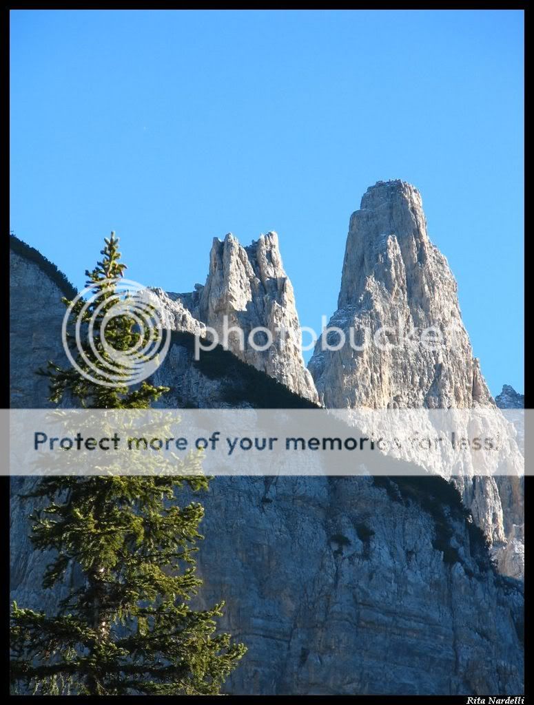 Seguendo l'orso.. giro delle malghe di Tovel (Brenta settentr.)