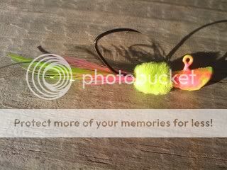 Shad rig questions | Pier and Surf Forum