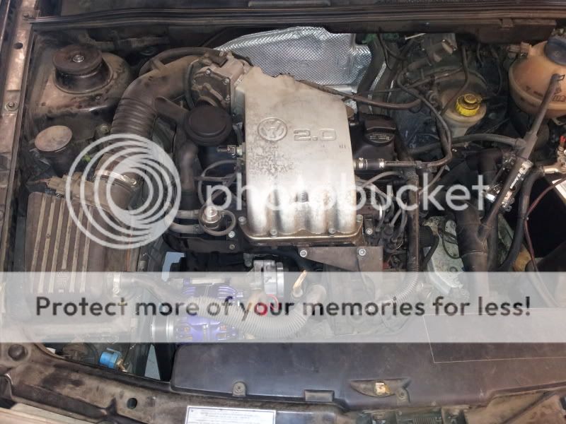 98 Jetta k2 Camshaft position sensor, help please | VW Vortex ...