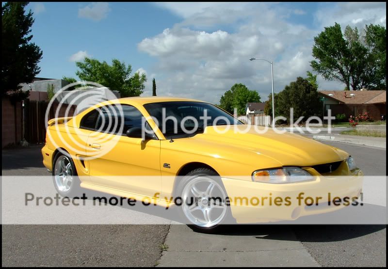 Yellow sn95's | SN95Forums The Only SN95 1994-2004 Dedicated Ford ...