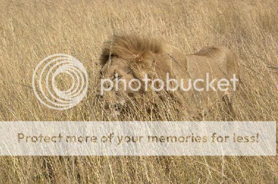 Kenya « Nairobi – Kapstaden