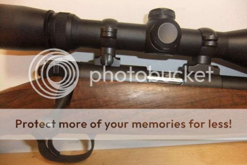 Pictures of my Kimbers | Rimfire Central Firearm Forum