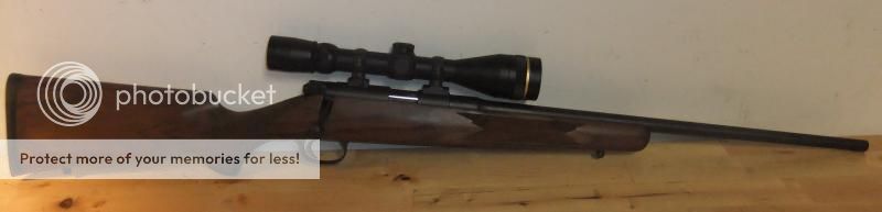 Pictures of my Kimbers | Rimfire Central Firearm Forum