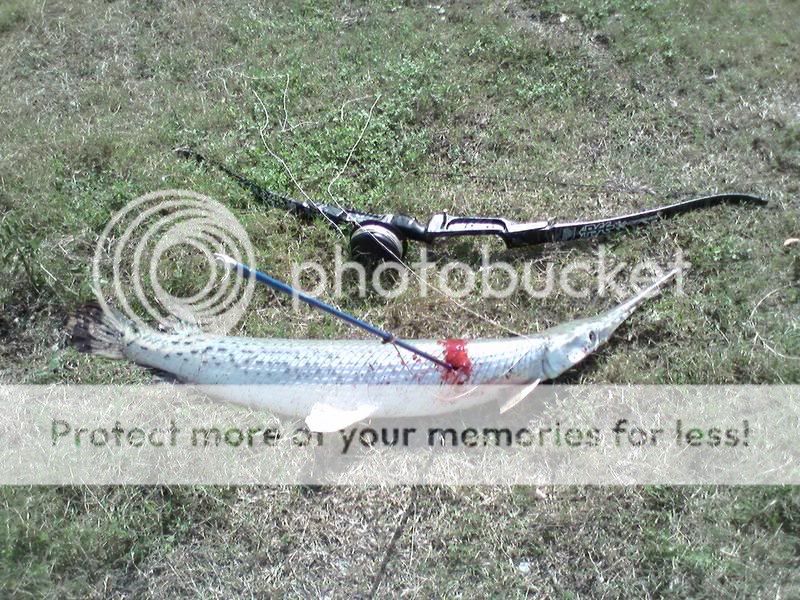 Gar Skin for Sheath or Handle Material | BladeForums.com