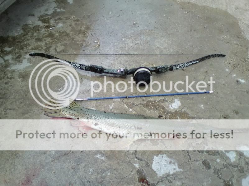 Gar Skin for Sheath or Handle Material | BladeForums.com