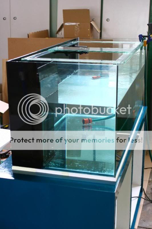 My 75g Tank, Stand, Sump build project | MonsterFishKeepers.com